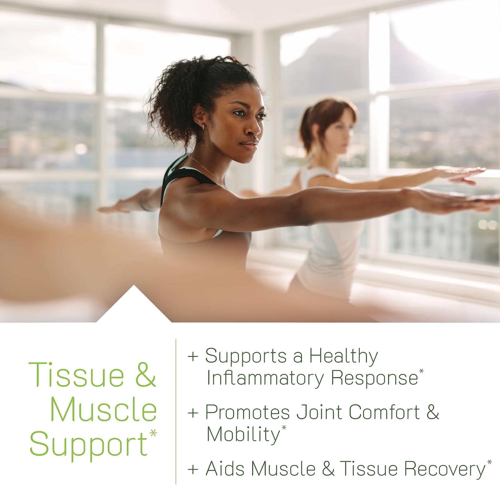 Irwin Naturals multivitamins for joints