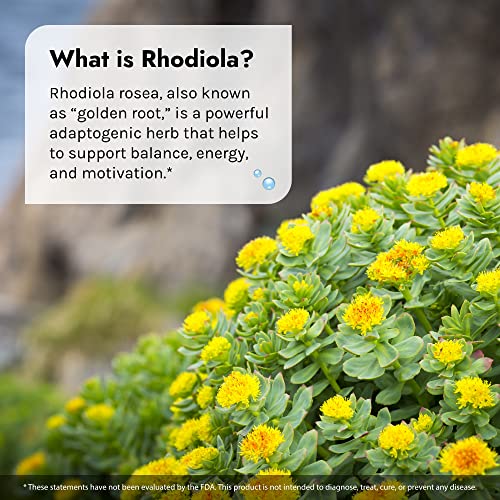 Irwin Naturals Rhodiola benefits