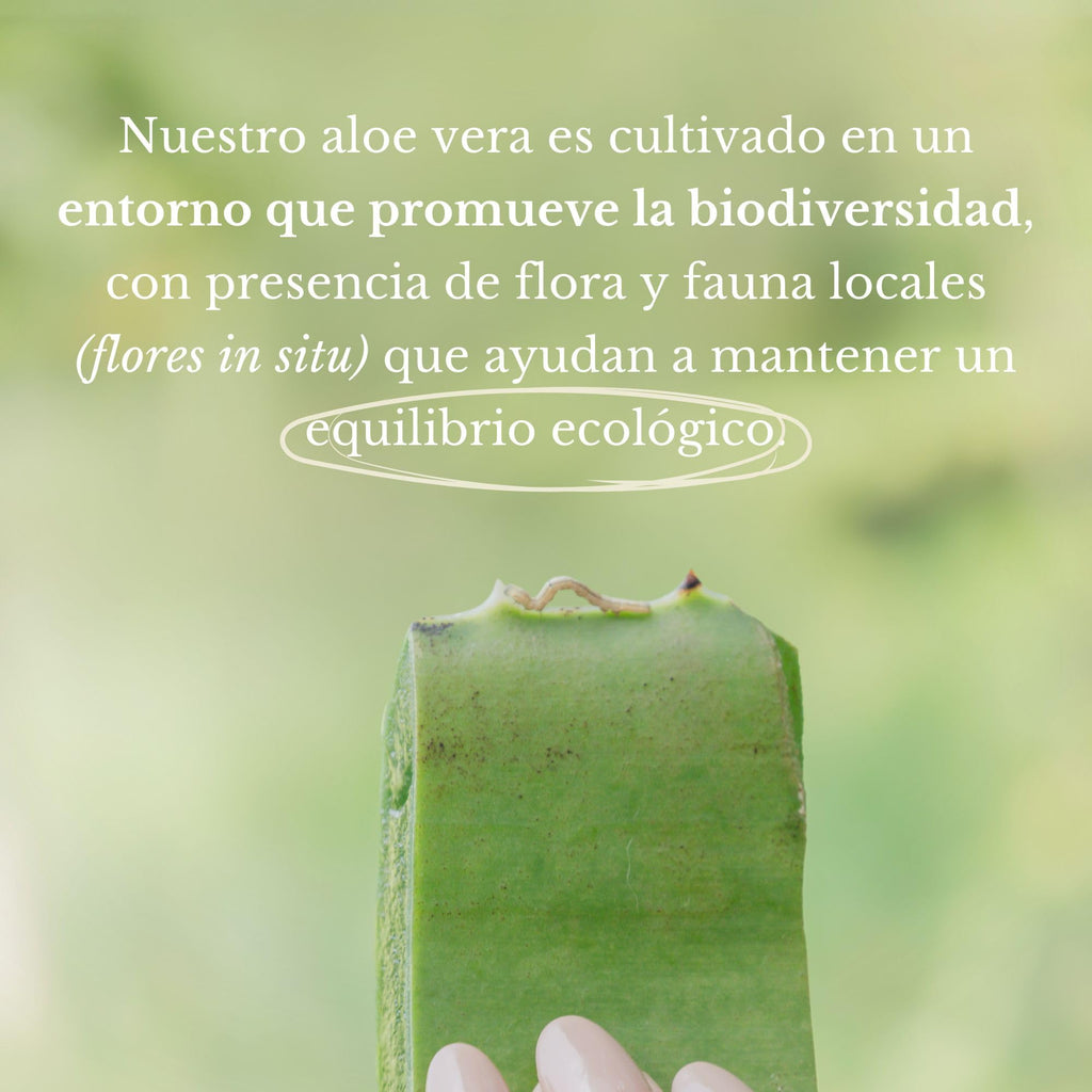 is aloe vera drink beneficial