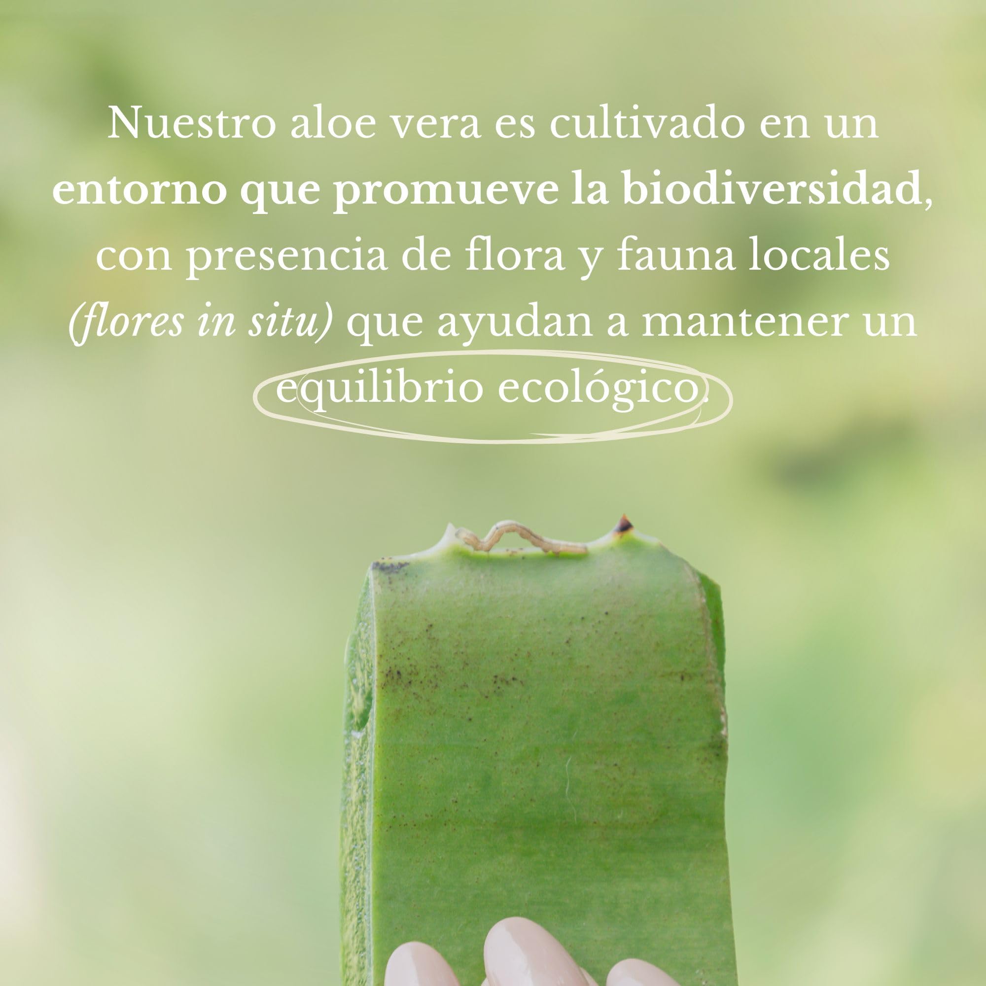is aloe vera drink beneficial
