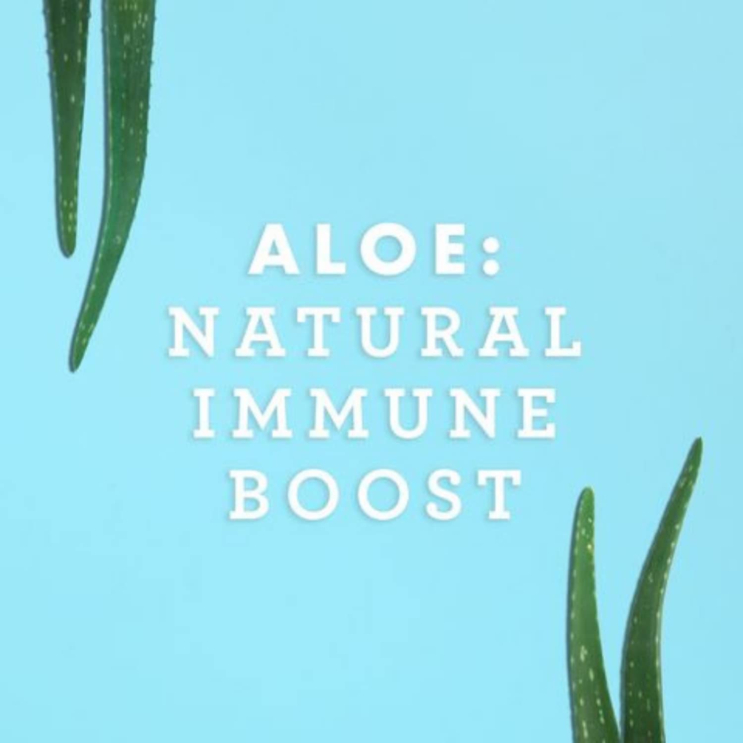 is aloe vera drink good for hydration