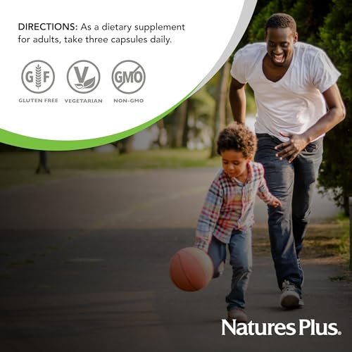 is ginkgo biloba effective for concentration