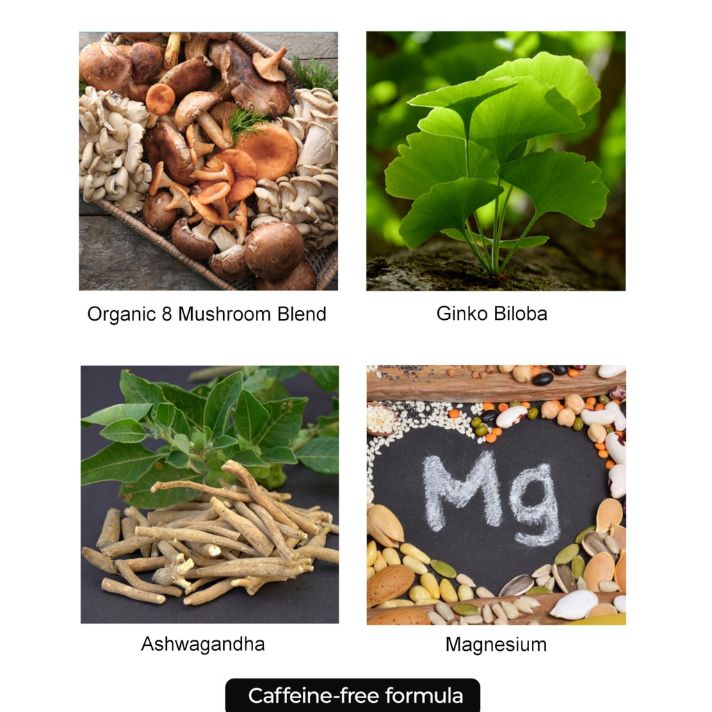 is ginkgo biloba good for anxiety