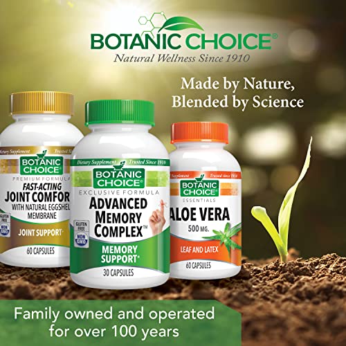 is ginkgo biloba good for brain function