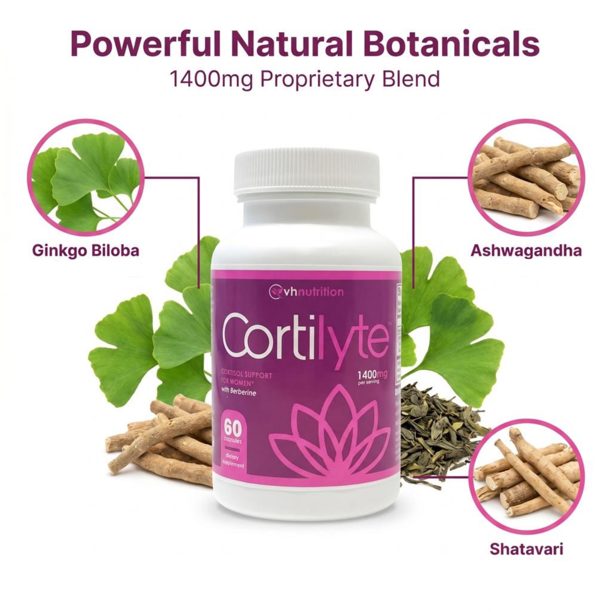 is ginkgo biloba good for brain health