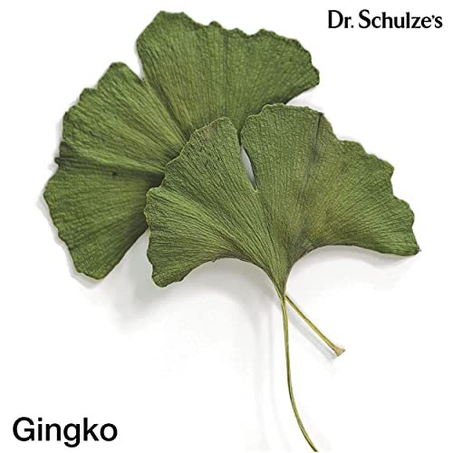 is ginkgo biloba good for cognitive function