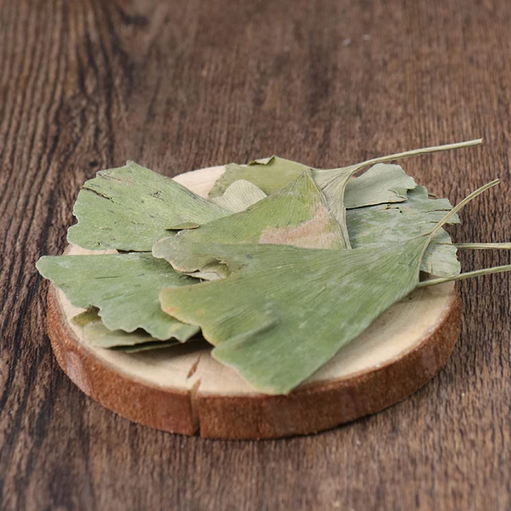 is ginkgo biloba good for memory enhancement