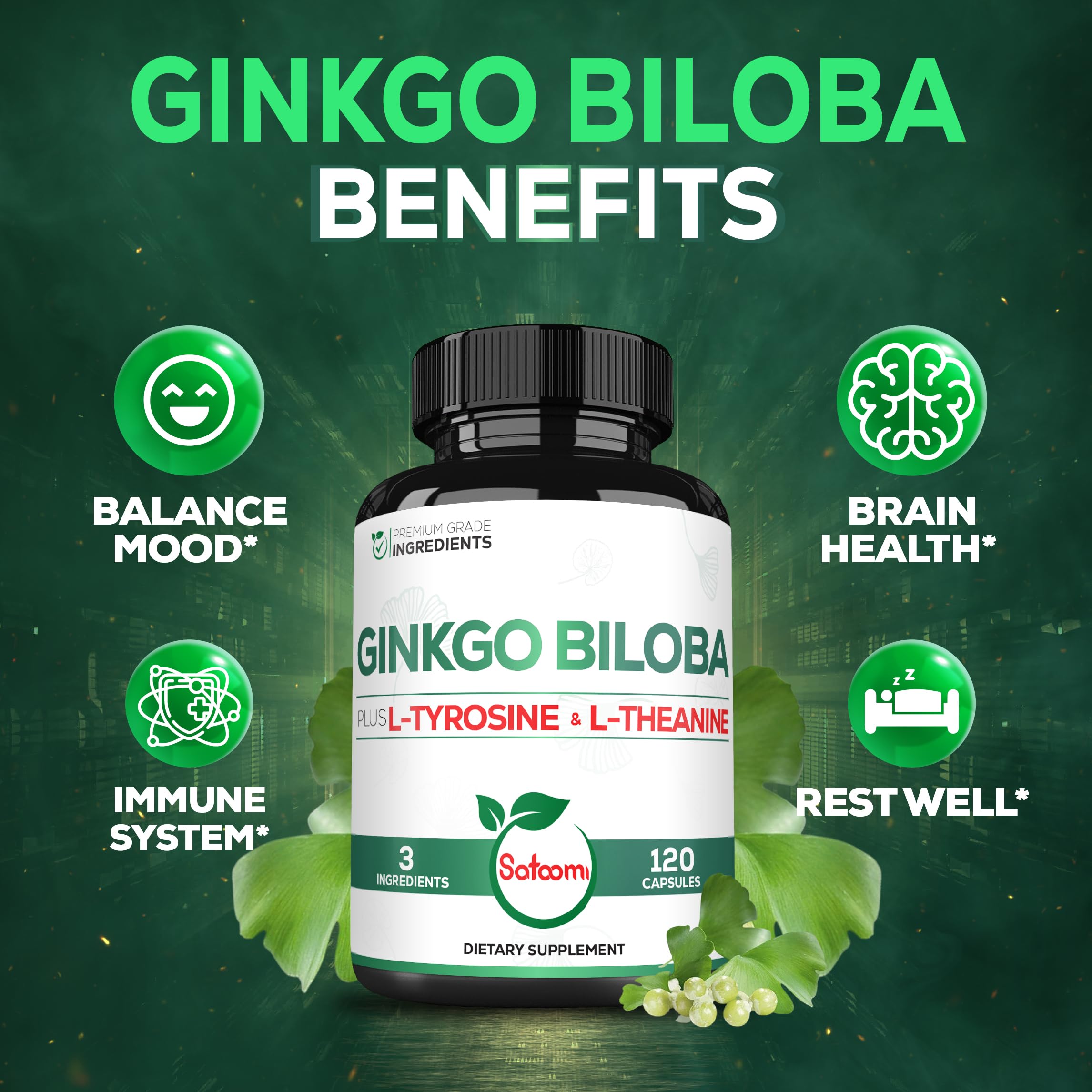is ginkgo biloba good for memory improvement