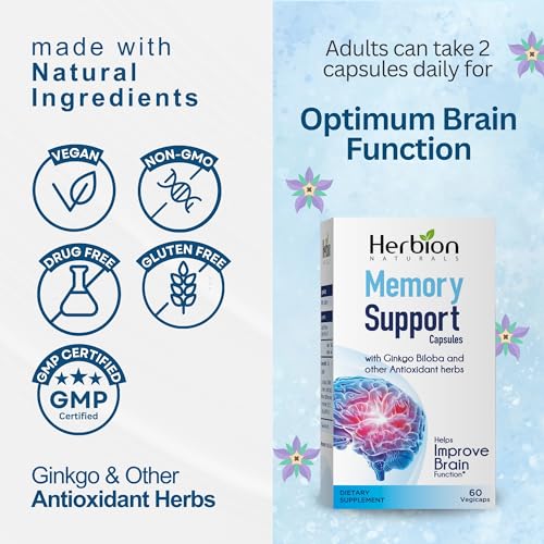 is ginkgo biloba good for memory support