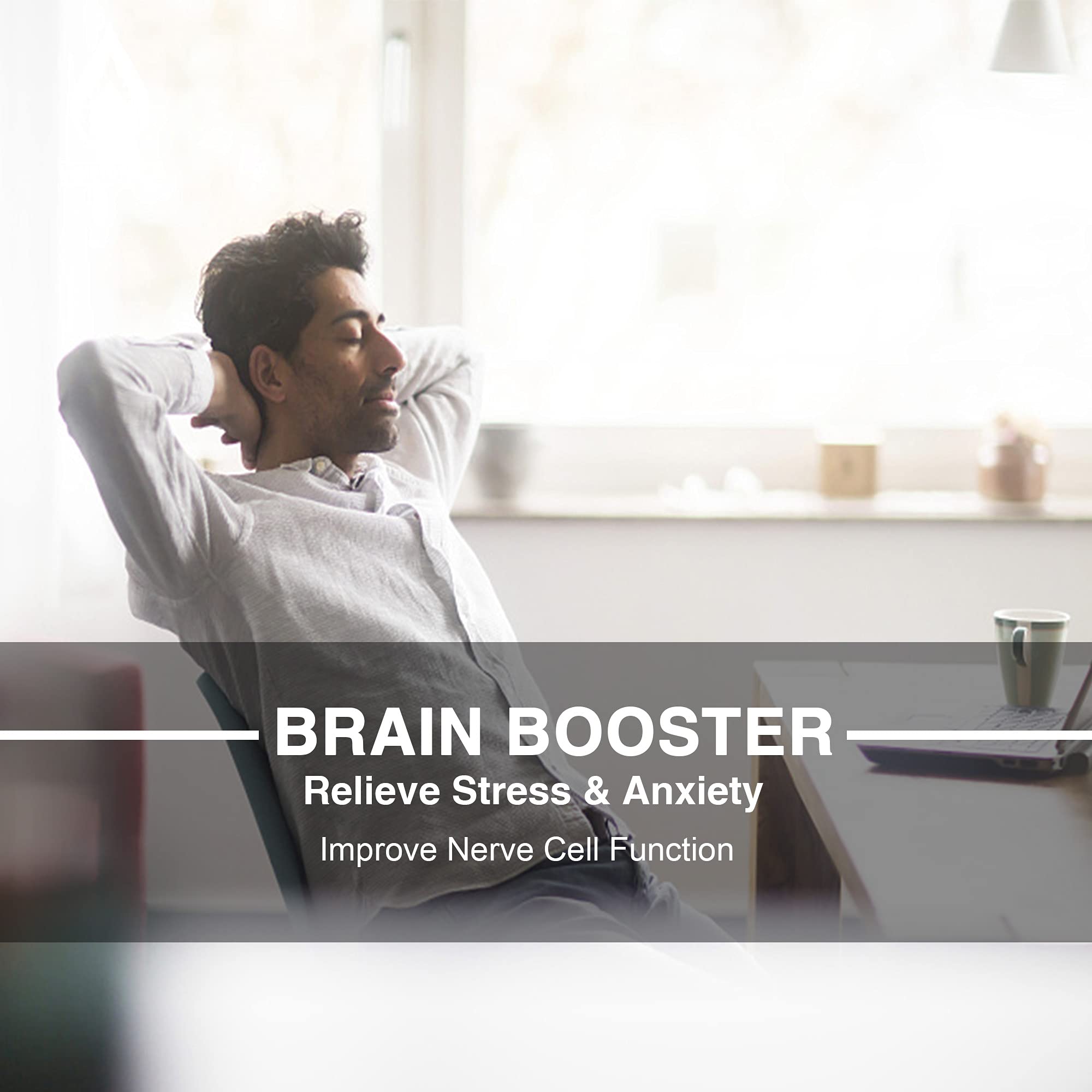 is ginkgo biloba good for memory support