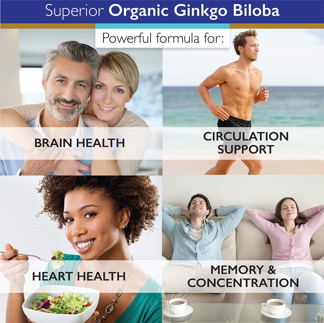 is ginkgo biloba good for memory support