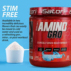 iSatori Amino-GRO for muscle growth