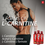 iSatori L-Carnitine 3000 mg dosage