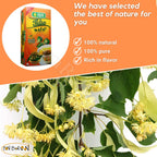 Isis Tilia herbal tea for wellness