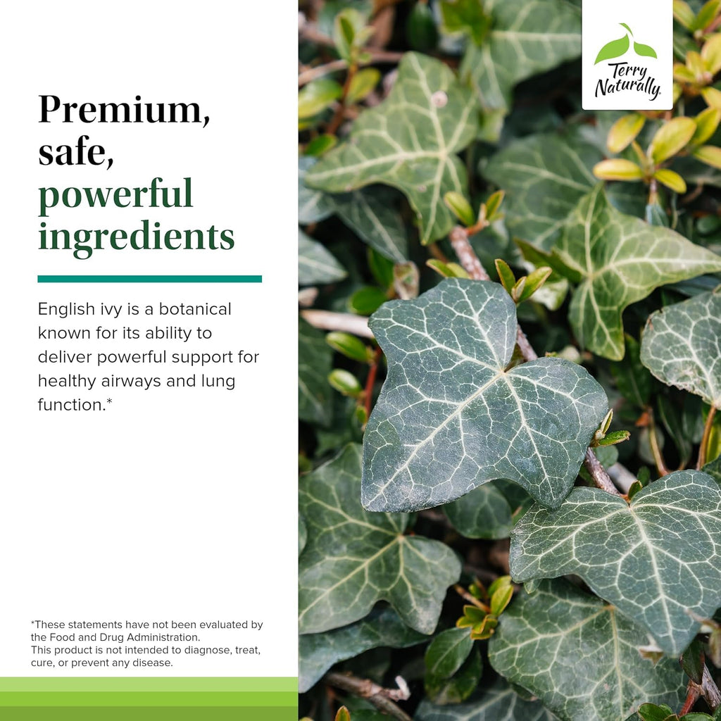 Ivy leaf extract for lung support