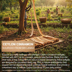 J&H cinnamon capsules for antioxidant properties
