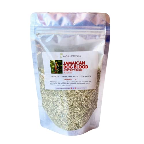 Jamaican Dog Blood Bush fertility herb