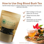 Jamaican Dog Blood Herb health properties