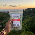 Jamaican Dog Blood Herb infusion
