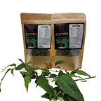 Jamaican Dog Blood Tea rich in antioxidants