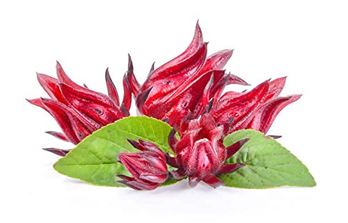 Jamaican Sorrel tea for wellness