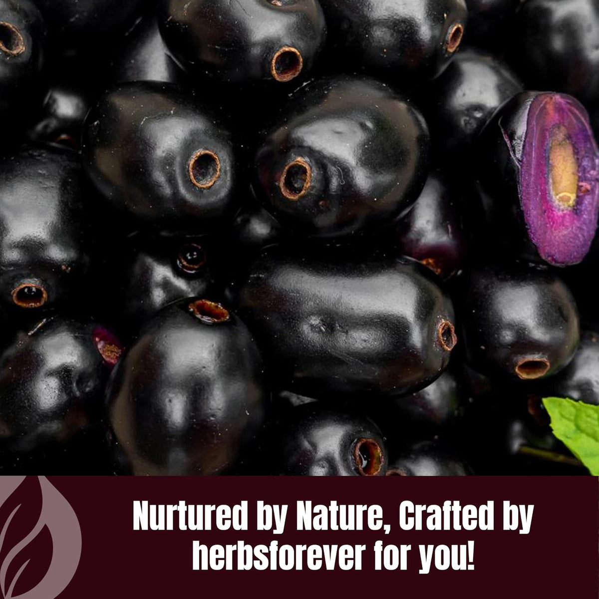 Jambul Java Plum antioxidant properties
