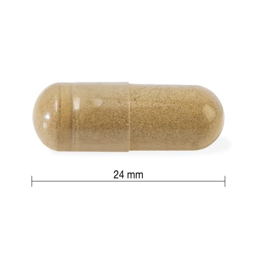 Jamieson ashwagandha for holistic health