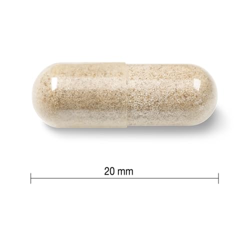 Jamieson iron tablets for daily wellness