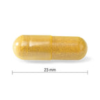 Jamieson turmeric capsules for wellness