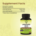 Jamun Seed antioxidant properties