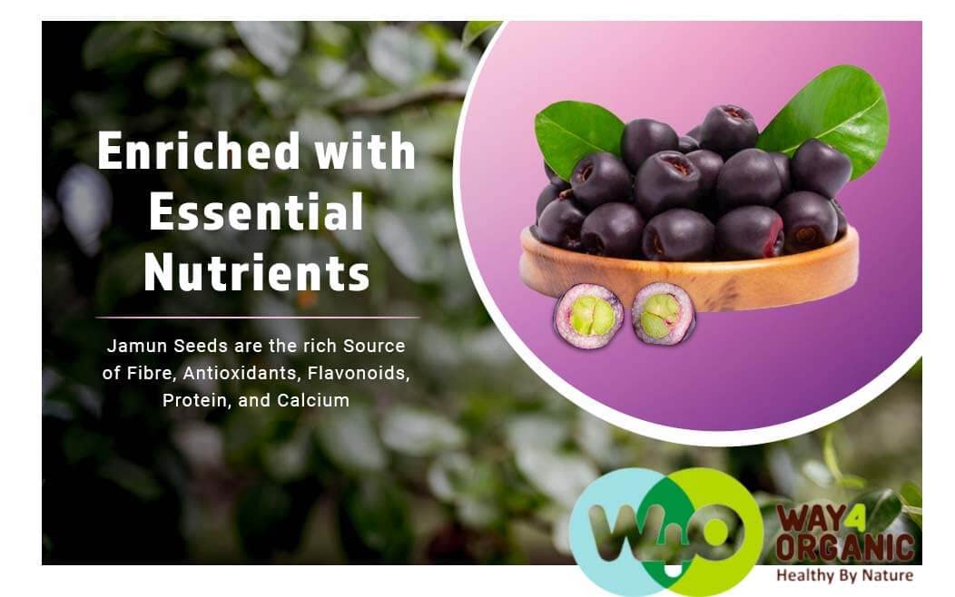 jamun seed capsules for enhanced metabolism