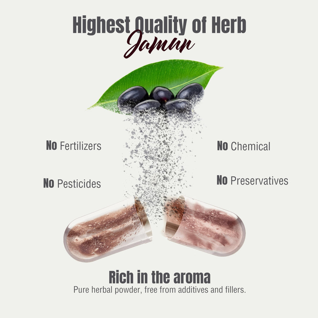 Jamun seed extract for wellness
