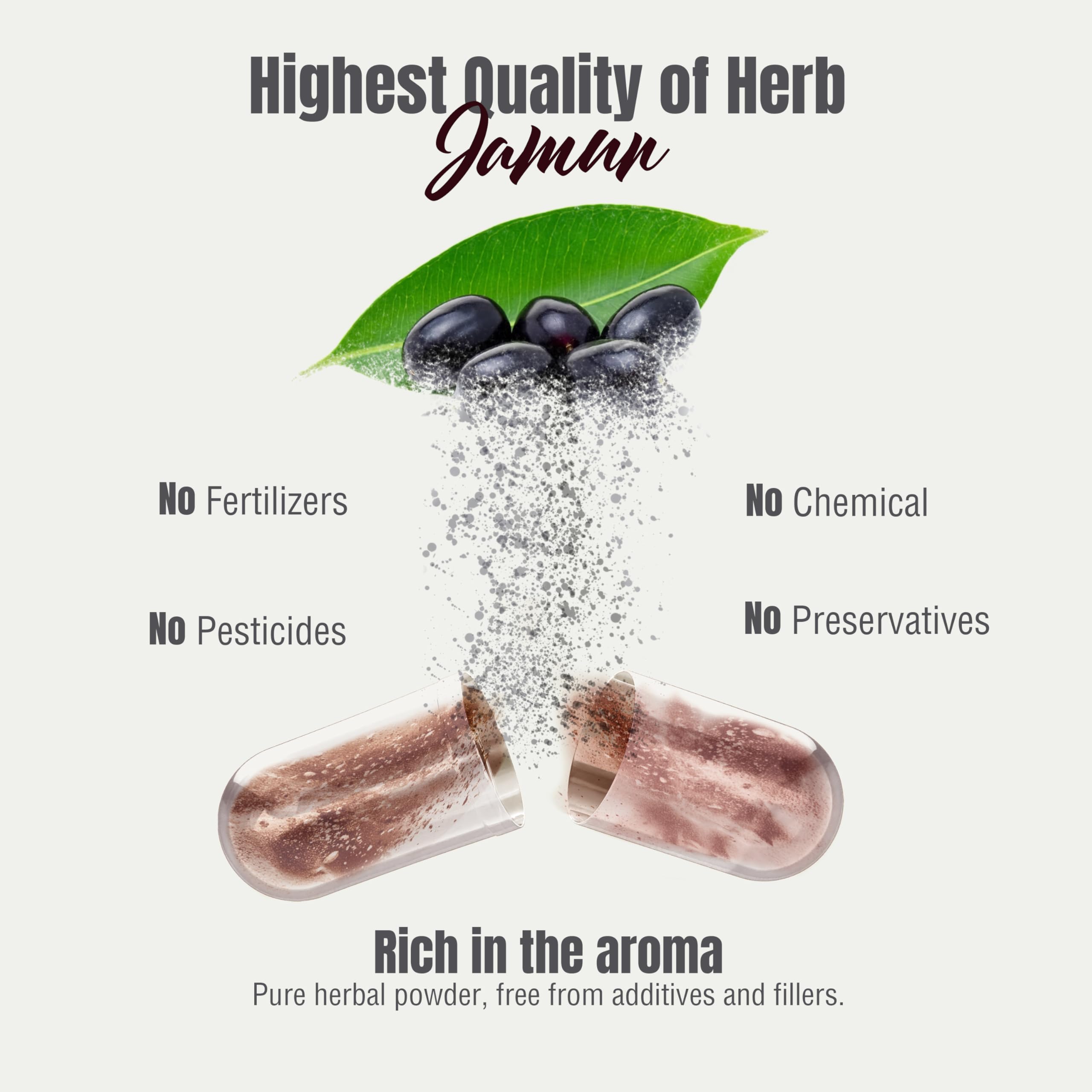 Jamun seed extract for wellness