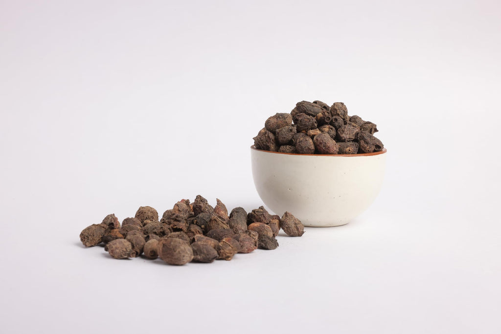 jamun seeds for blood sugar support