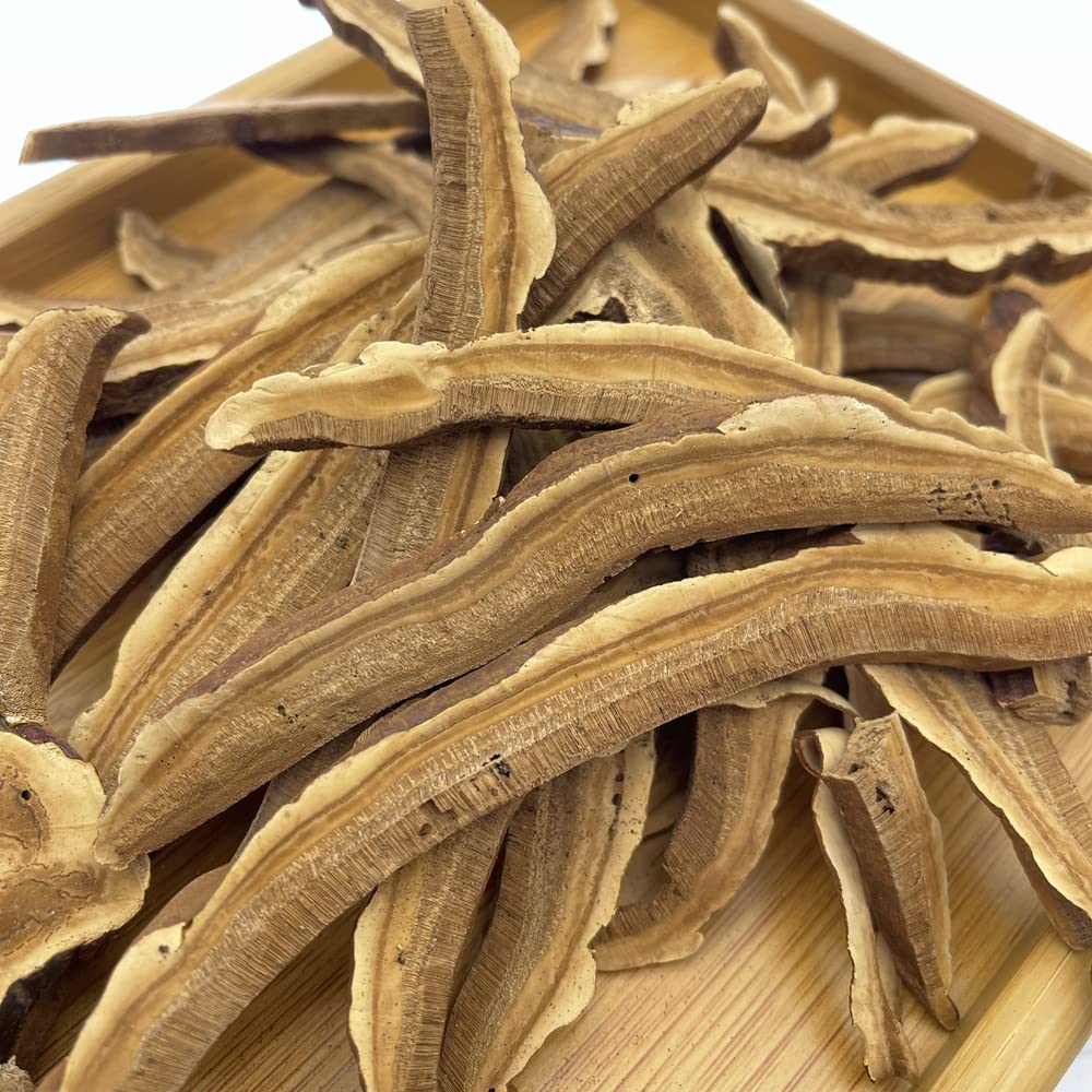 Japanese ganoderma lucidum benefits