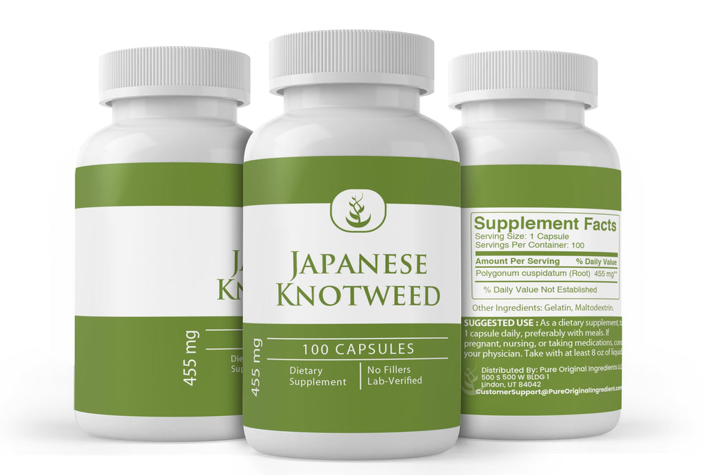 Japanese Knotweed for vitality