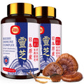 Japanese reishi mushroom health benefits