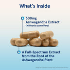 Jarrow herbal ashwagandha supplement