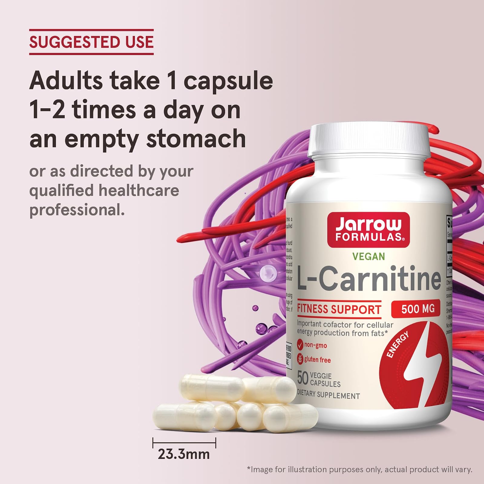 Jarrow L-Carnitine for mental clarity