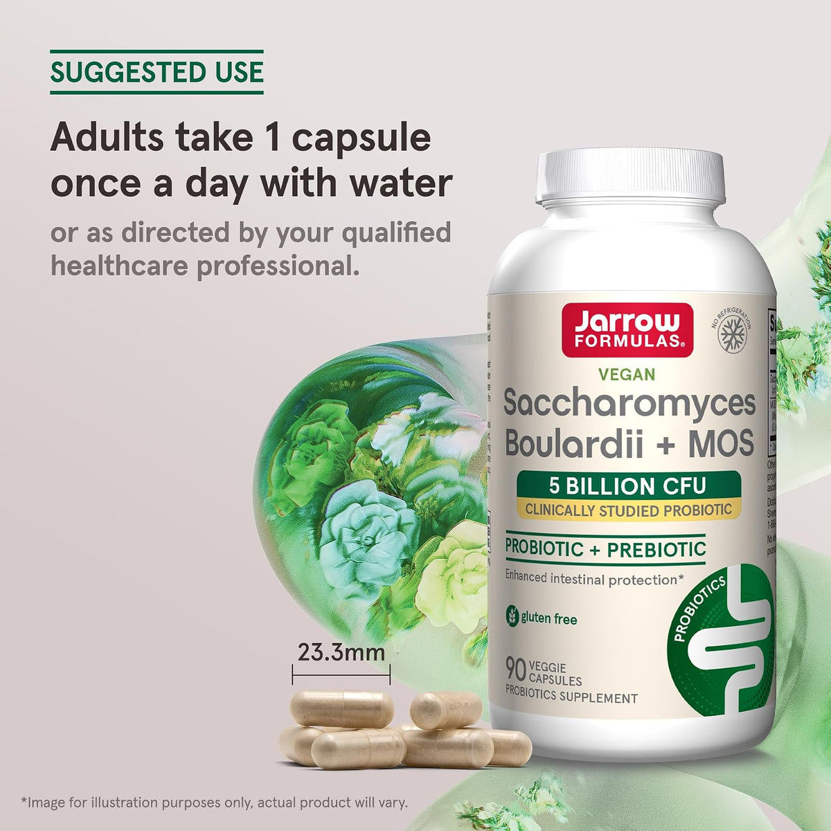 Jarrow probiotics for immune health