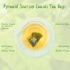 Jarteela herbal detox tea benefits