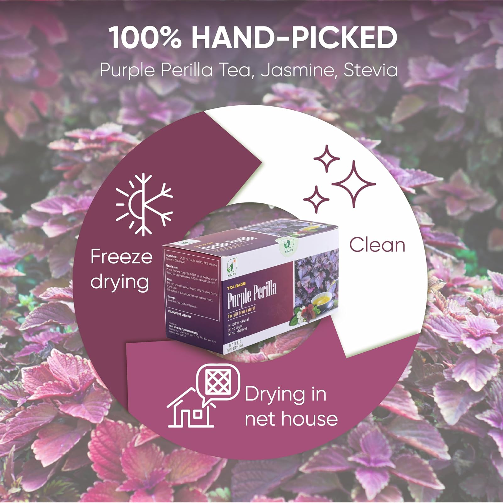 jasmine and stevia herbal infusion
