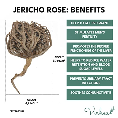 Jericho's Rose herbal remedy for vitality
