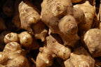 Jerusalem artichoke tubers for planting