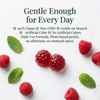 Jevawell kombucha gummies for daily use