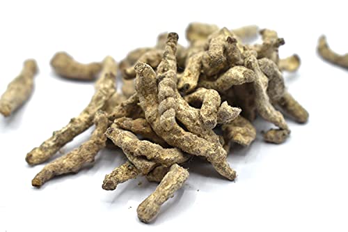 Jiang CAN alfalfa protein source