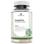 Jiaogulan extract for herbal wellness