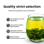 Jiaogulan tea benefits for health