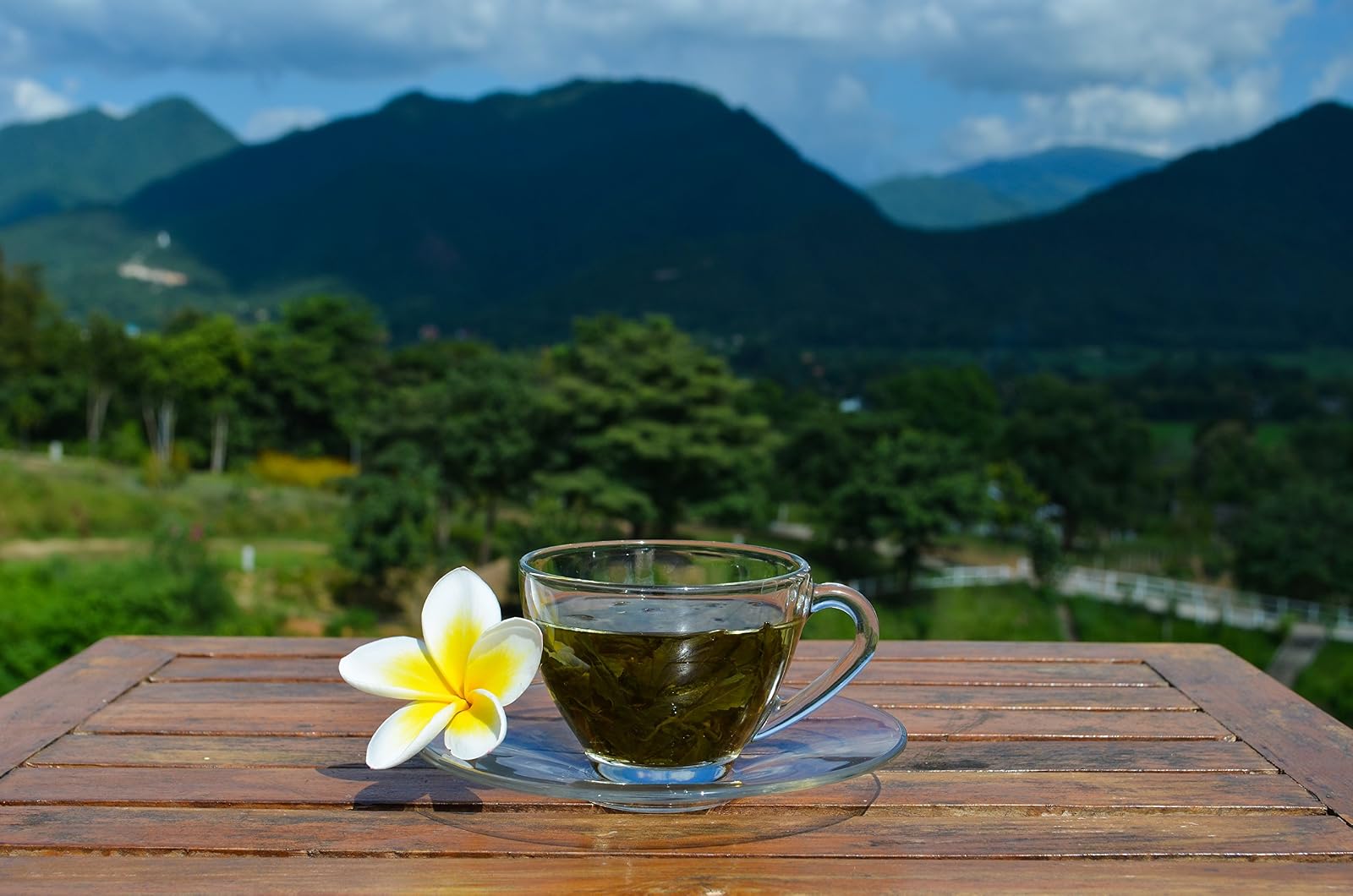 Jiaogulan tea for stress relief