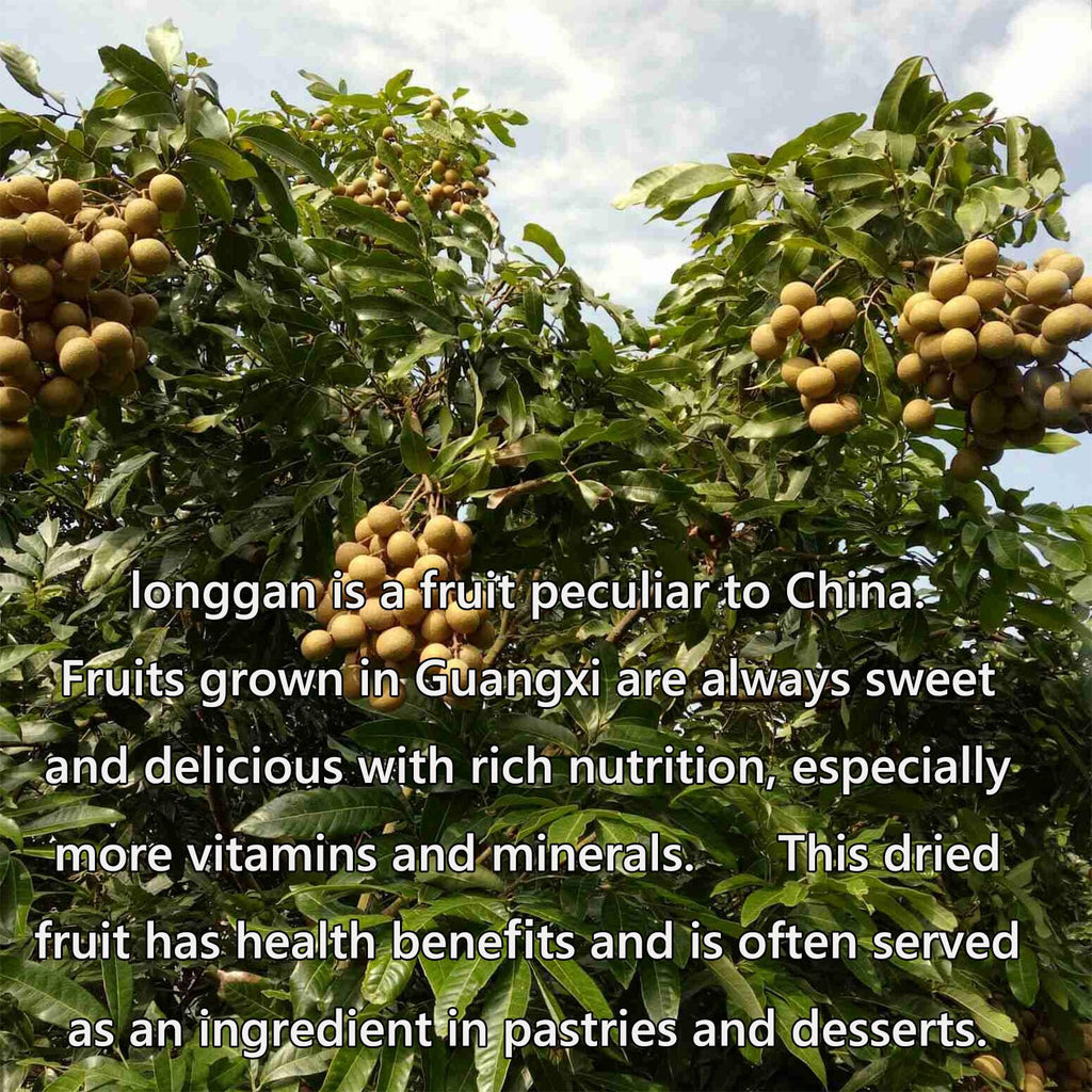 JINQI longan pulp energy boost